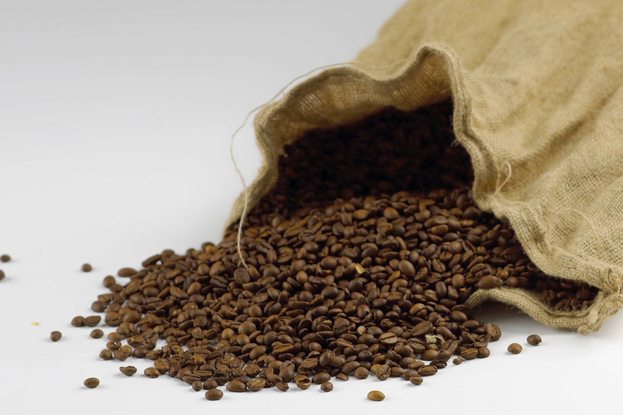 International Ingredients Business - CONNECT BUSINESS MANAGEMENT